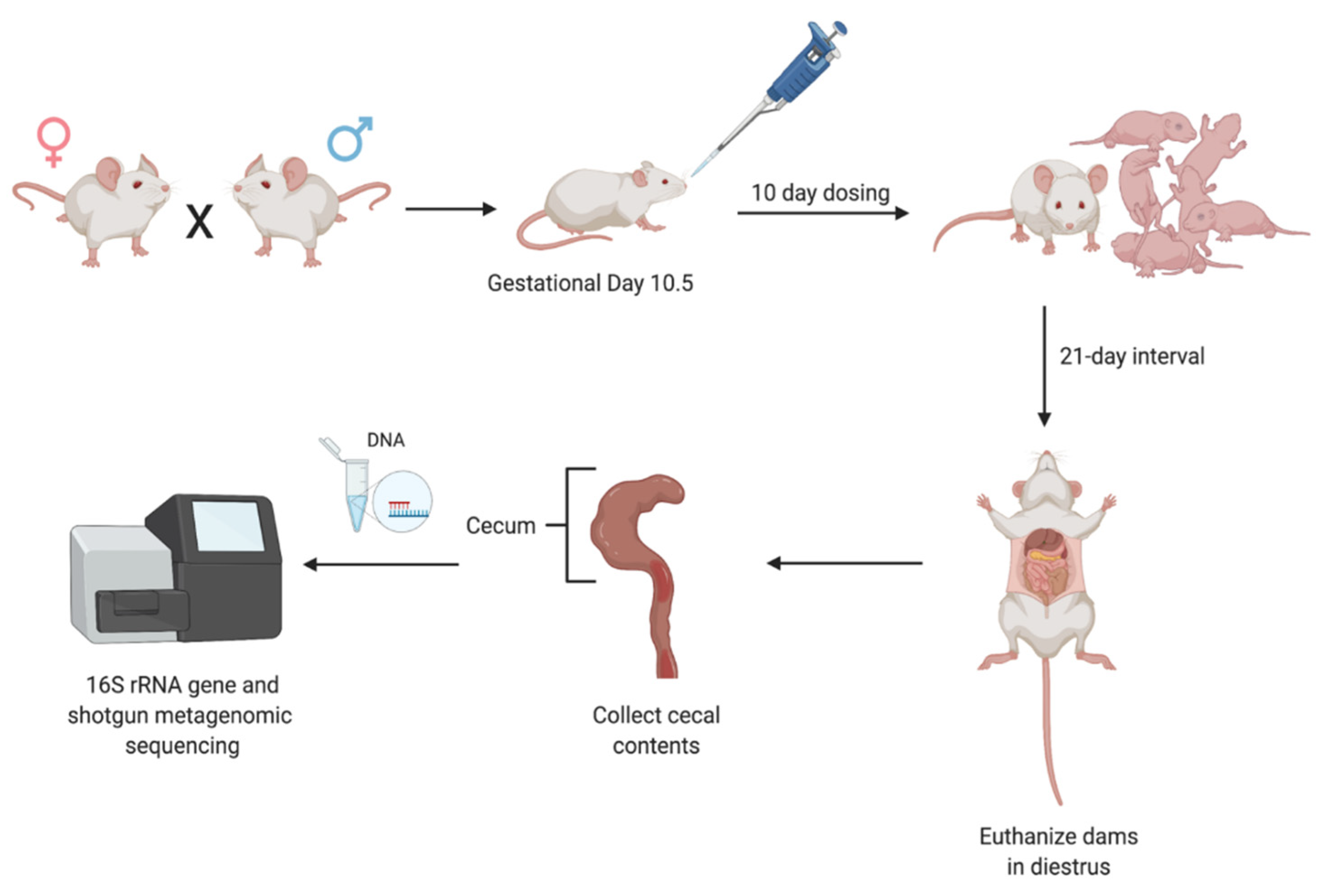Subacute Exposure to an Environmentally Relevant Dose of Di-(2 ...