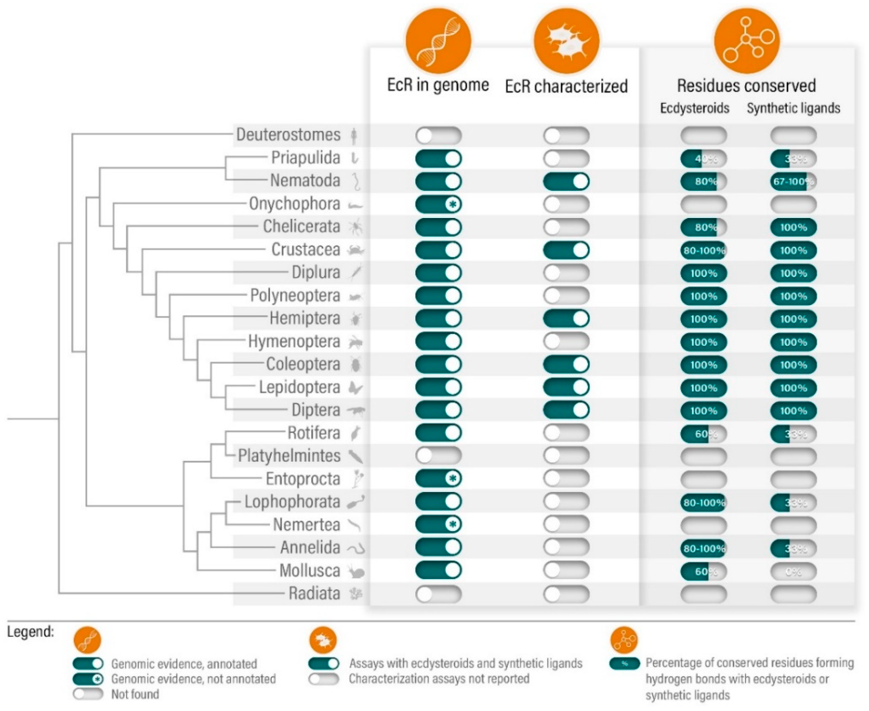 From Extrapolation to Precision Chemical Hazard Assessment: The ...