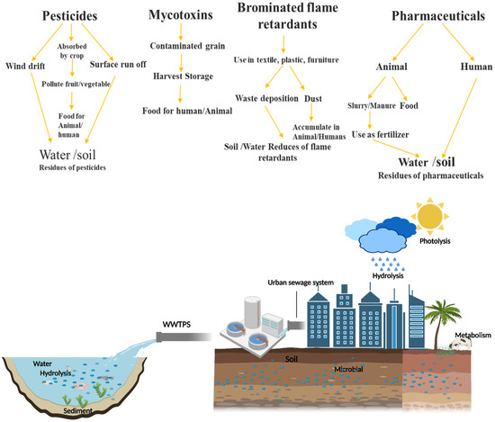 Transformation Products of Emerging Pollutants Explored Using Non ...