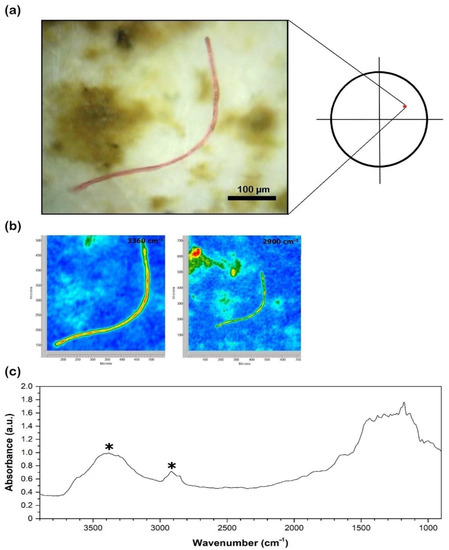 Toxics | An Open Access Journal from MDPI