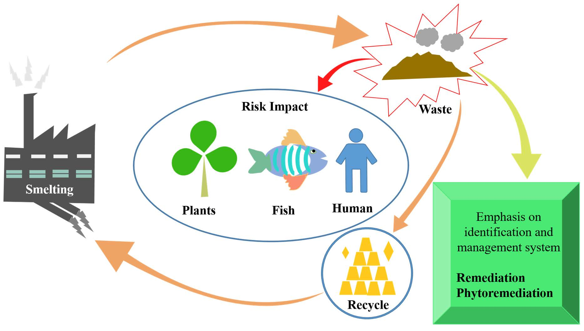 Toxics | Free Full-Text | Research Progress on Heavy Metals Pollution ...