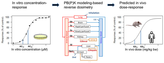 IVIVE: Facilitating the Use of In Vitro Toxicity Data in Risk ...