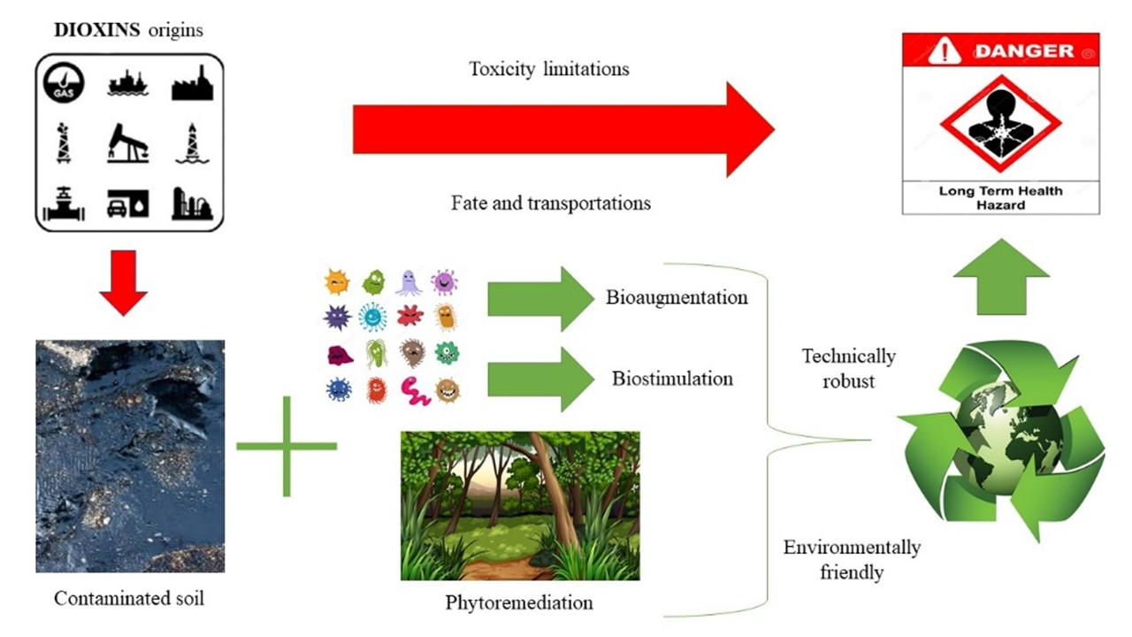Toxics | Free Full-Text | A Review of Soil Contaminated with Dioxins ...