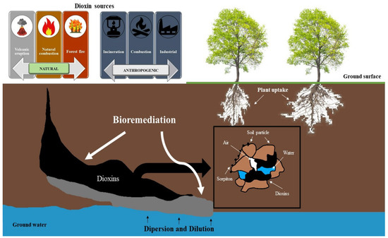 A Review of Soil Contaminated with Dioxins and Biodegradation ...