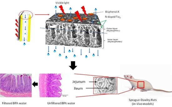 Toxics | Free Full-Text | The Effect of BPA-Treated Water on the Small ...