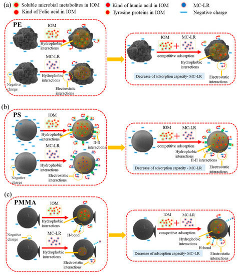 Toxics | Free Full-Text | The Inhibition of Microcystin Adsorption by Microplastics in the ...