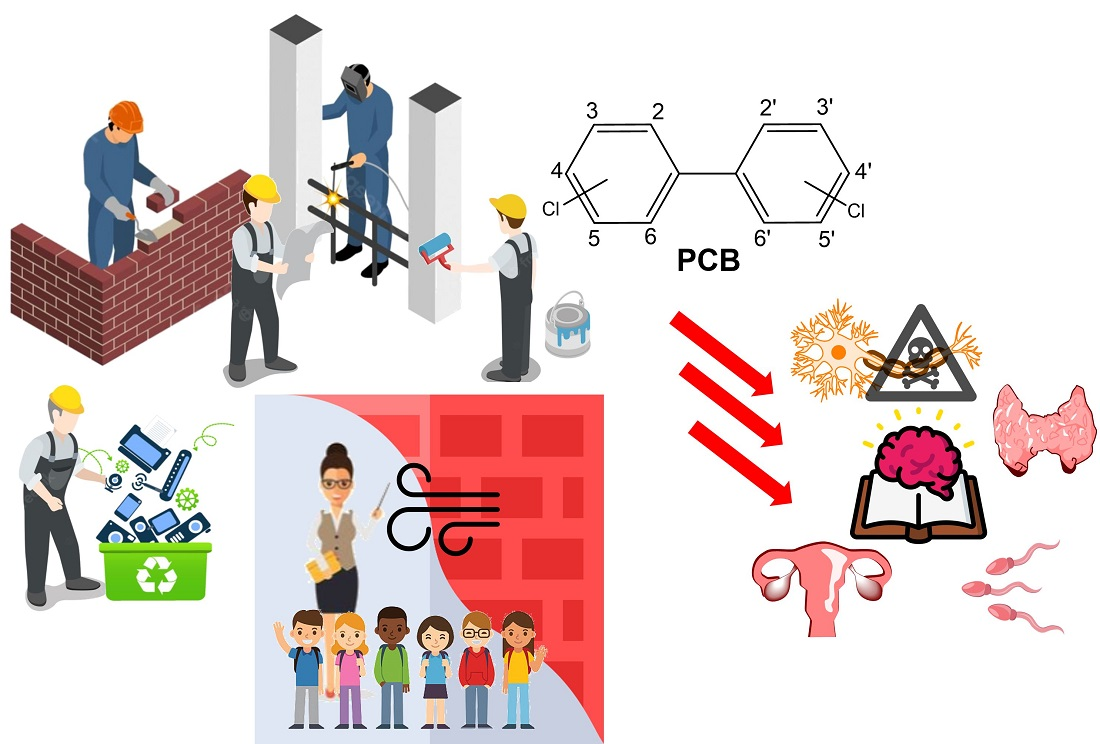 Toxics | Free Full-Text | Polychlorinated Biphenyls (PCBs) in the ...