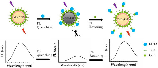 Detection of Cd2+ in Aqueous Solution by the Fluorescent Probe of CdSe ...