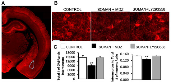 Toxics | An Open Access Journal from MDPI