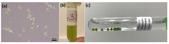 Toxics | An Open Access Journal from MDPI
