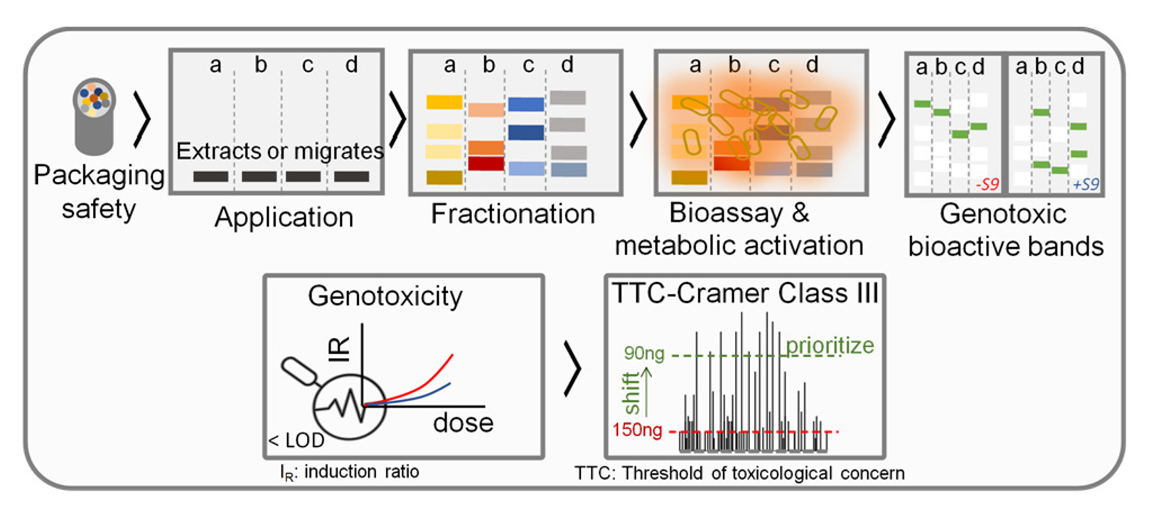 Toxics | Free Full-Text | Incorporation of Metabolic Activation in the HPTLC-SOS-Umu-C Bioassay ...