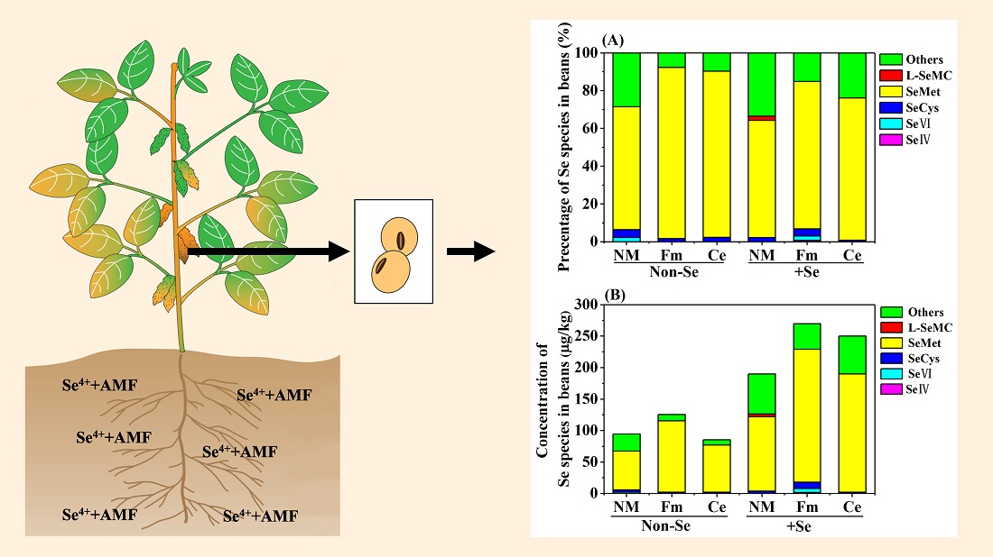 Toxics | Free Full-Text | Arbuscular Mycorrhizal Fungal Inoculation ...