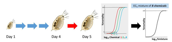 The Effects of Single and Combined Stressors on Daphnids—Enzyme Markers ...