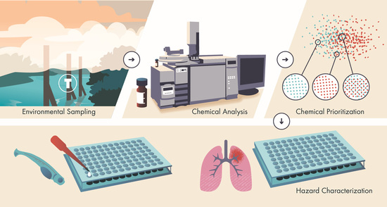 Toxics | Special Issue : Toxic Mixtures Evaluation and Management