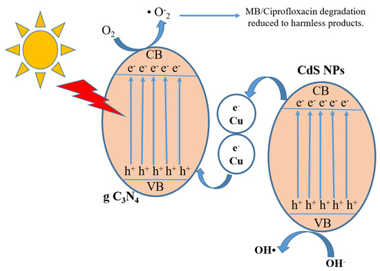Fabrication of a Ternary Nanocomposite g-C3N4/Cu@CdS with Superior ...