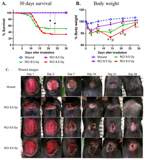 Deteriorative Effects of Radiation Injury Combined with Skin Wounding ...