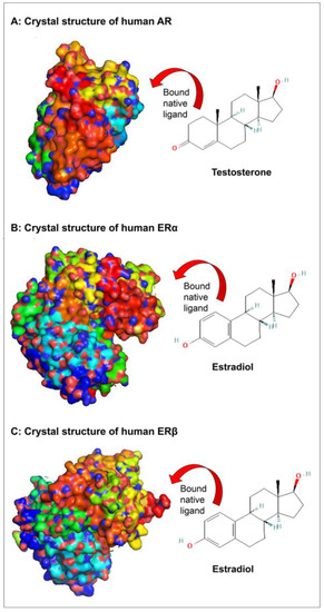 Organotin Antifouling Compounds and Sex-Steroid Nuclear Receptor ...