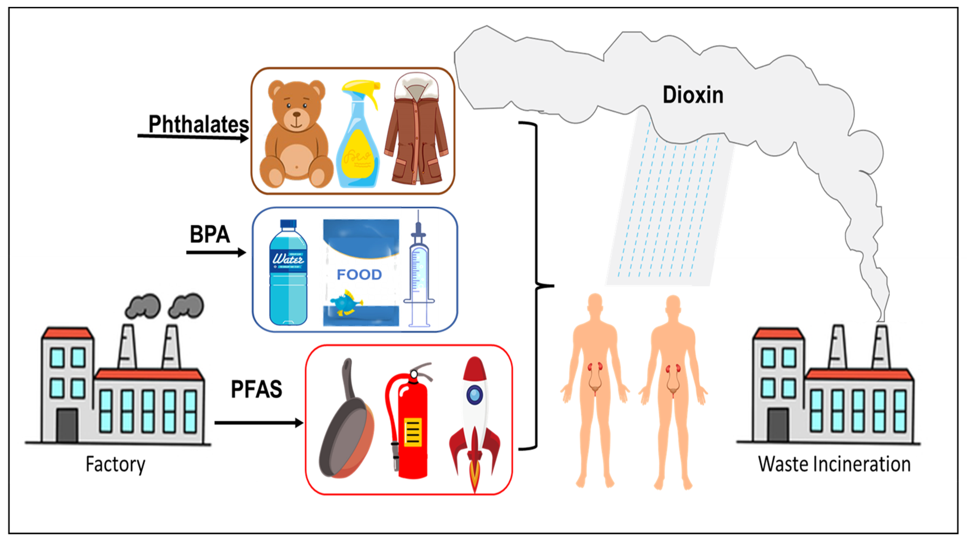 Endocrine Disrupting Chemicals