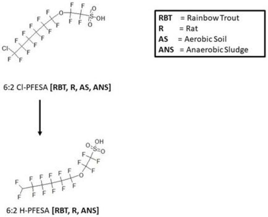 PFAS Biotransformation Pathways: A Species Comparison Study