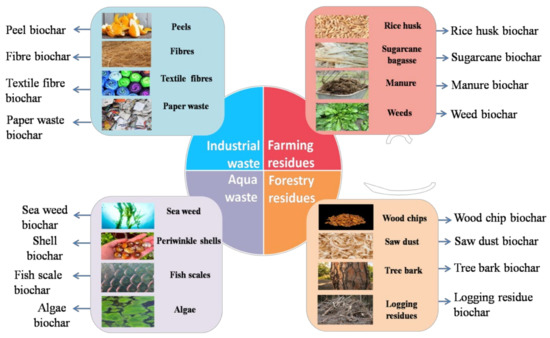 Toxics | Free Full-Text | Biochar as Sustainable Alternative and Green Adsorbent for the ...