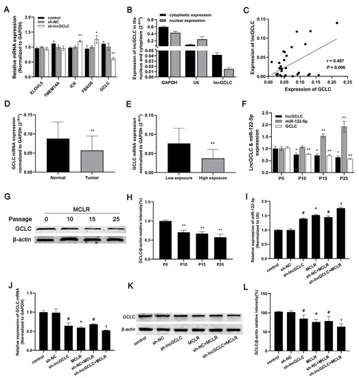 Downregulation of LncRNA GCLC-1 Promotes Microcystin-LR-Induced ...