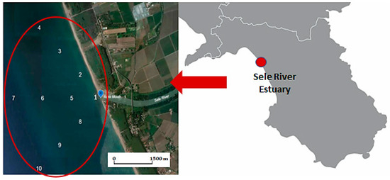 Health Risk Assessment of PAHs from Estuarine Sediments in the South of ...