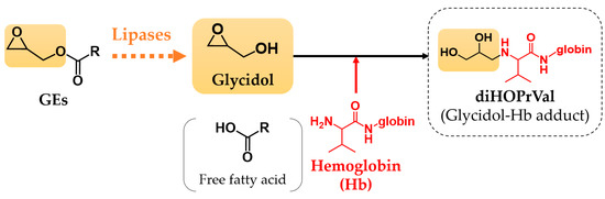 Potential Role of Lipase Activity on the Internal Exposure Assessment ...