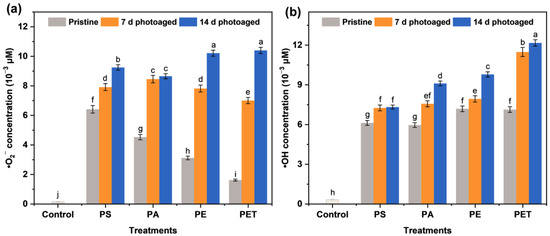 Physiological Toxicity and Antioxidant Mechanism of Photoaging ...