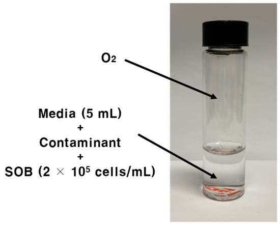 Development of an Improved Sulfur-Oxidizing Bacteria-Based Ecotoxicity ...