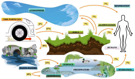 Silent Contamination: The State of the Art, Knowledge Gaps, and a ...