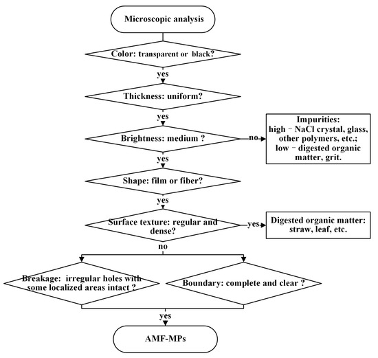 A Low-Cost Approach for Batch Separation, Identification and Quantification of Microplastics in ...