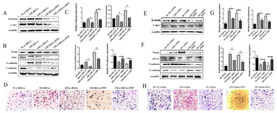 Cigarette Smoke-Induced Gastric Cancer Cell Exosomes Affected the Fate ...