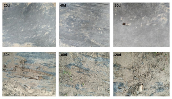 Feasibility Study on the Application of Biodegradable Plastic Film in ...