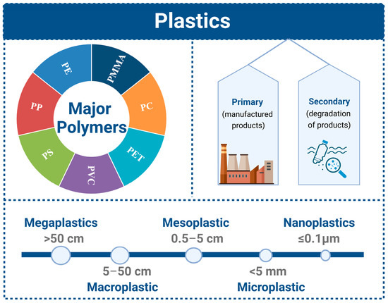 Toxics | Free Full-Text | Factors Affecting the Adsorption of Heavy Metals by Microplastics and ...