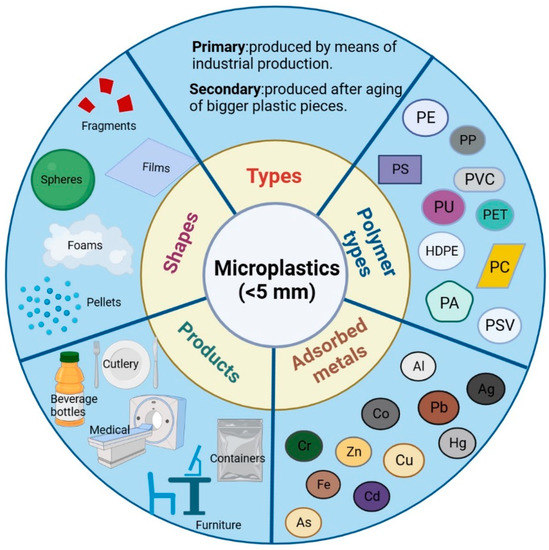 Toxics | Free Full-Text | Factors Affecting the Adsorption of Heavy Metals by Microplastics and ...
