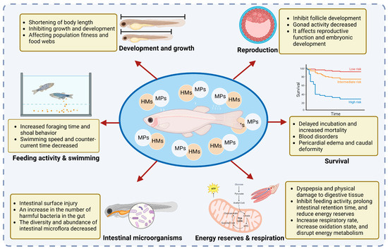 Toxics | Free Full-Text | Factors Affecting the Adsorption of Heavy Metals by Microplastics and ...