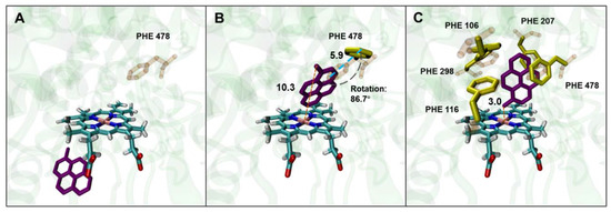 Phenylalanine Residues in the Active Site of CYP2E1 Participate in ...