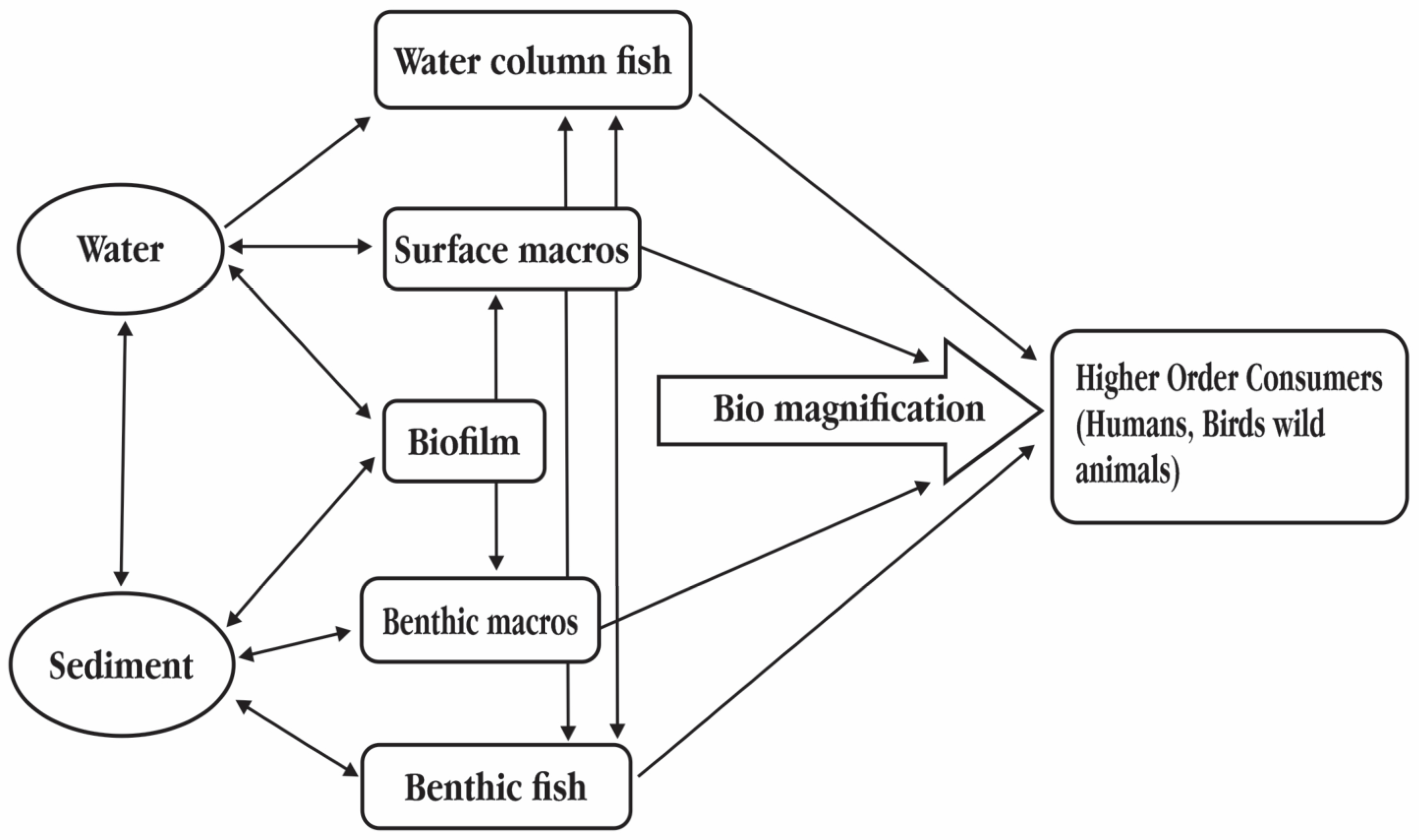 Toxics Free Full Text Poly And Perfluoroalkyl Substances Pfas
