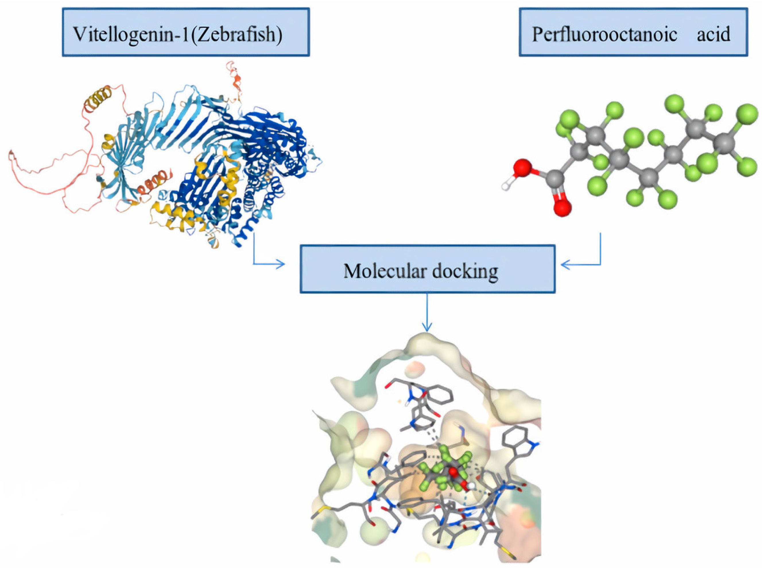 Toxics Free Full Text Poly And Perfluoroalkyl Substances Pfas