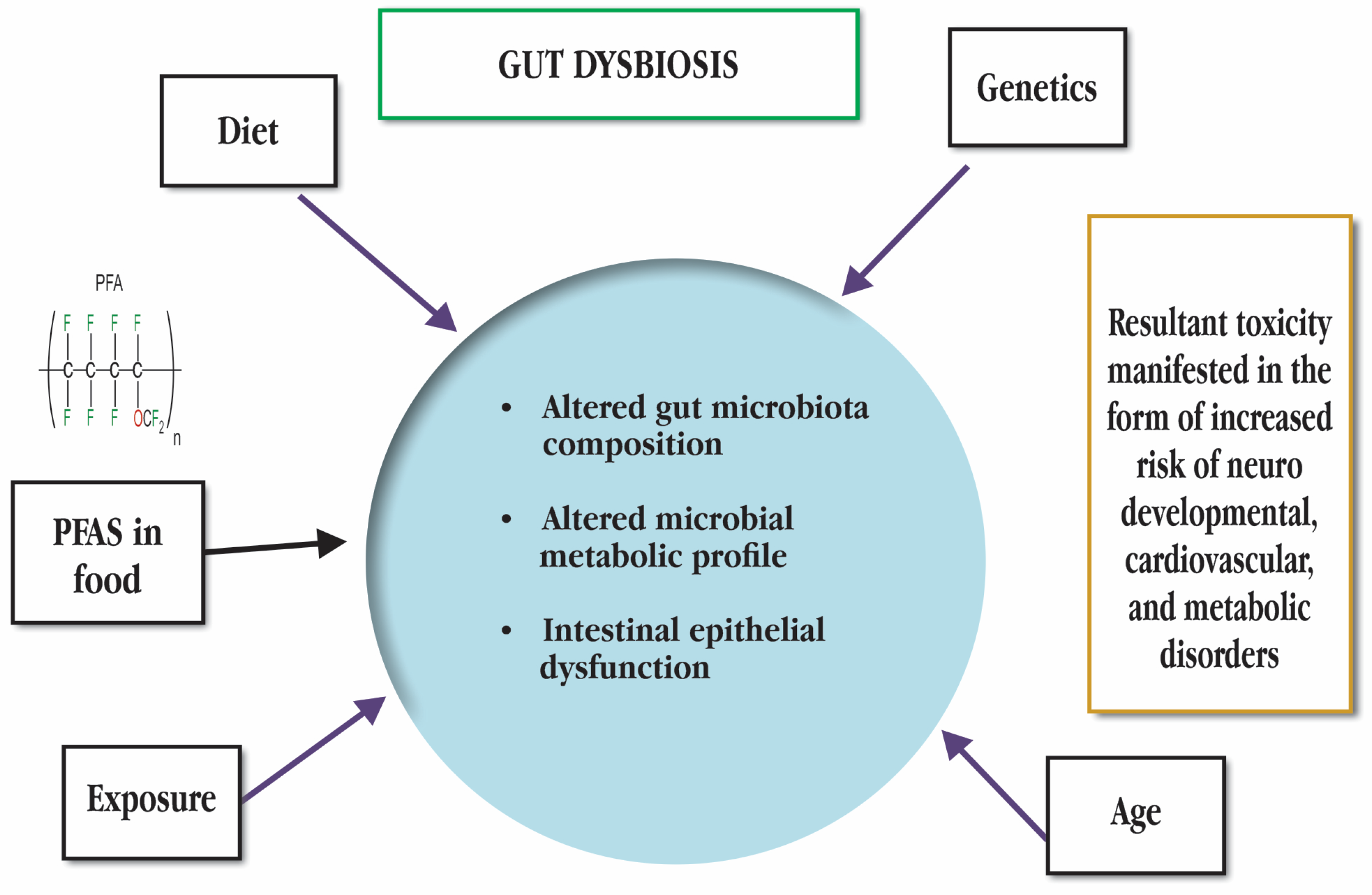 Toxics Free Full Text Poly And Perfluoroalkyl Substances Pfas