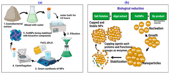 Toxics | Free Full-Text | Biogenic Fabrication of Iron Oxide Nanoparticles from Leptolyngbya sp ...