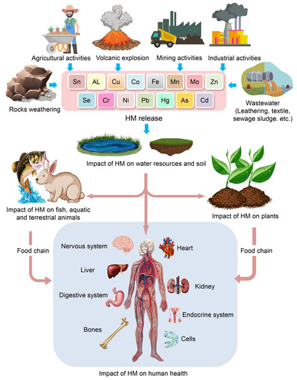 Toxicity of Heavy Metals and Recent Advances in Their Removal: A Review