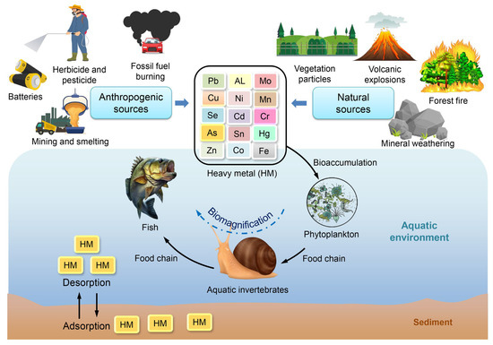 Toxicity of Heavy Metals and Recent Advances in Their Removal: A Review