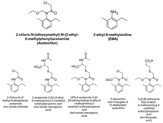 Air, Dermal, and Urinary Metabolite Levels of Backpack and Tractor ...