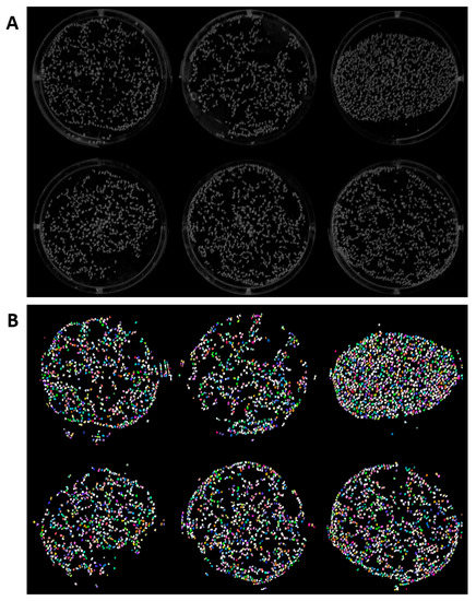 Toxics | Free Full-Text | Deep Learning-Based Automatic Duckweed Counting Using StarDist and Its ...