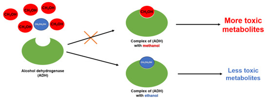 Antidotes in Clinical Toxicology—Critical Review
