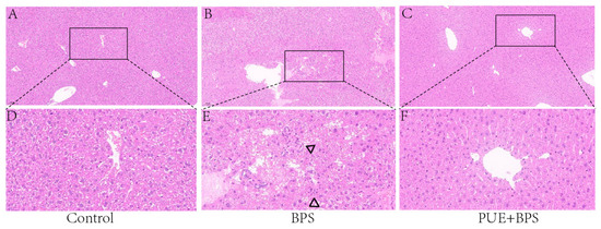 Puerarin Prevents Bisphenol S Induced Lipid Accumulation by Reducing ...