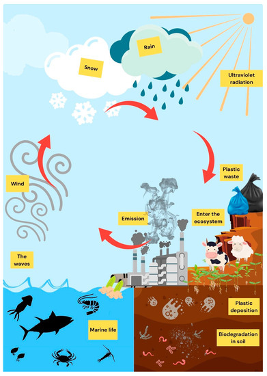 Toxics | Free Full-Text | Sources, Degradation, Ingestion and Effects ...