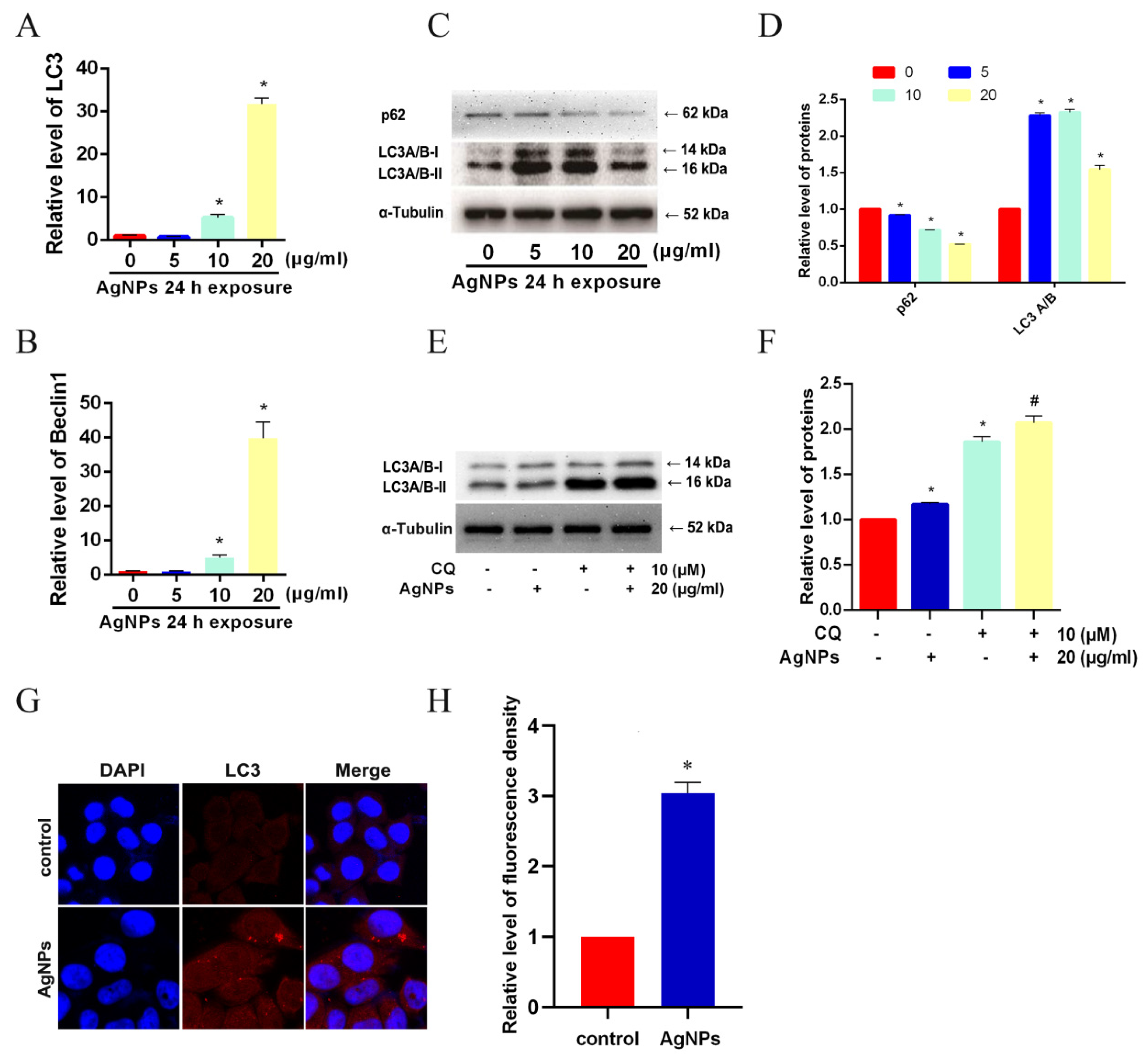 Increased DNMT1 Involvement in the Activation of LO2 Cell Death Induced ...