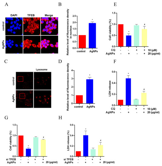 Increased DNMT1 Involvement in the Activation of LO2 Cell Death Induced ...